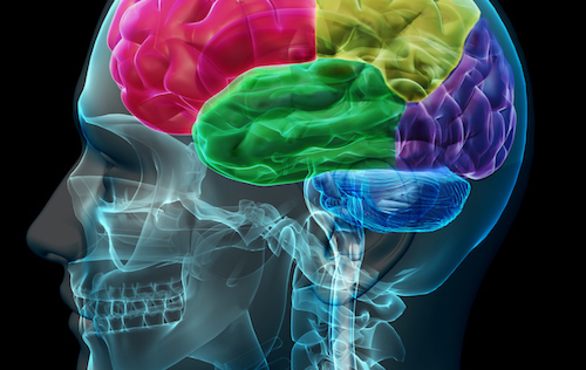 4 Brain Exercises To Improve Memory NeuroGrow